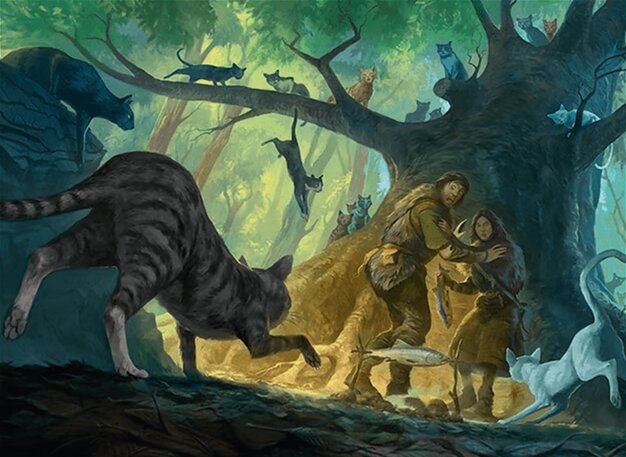 Foundations Standard Cats - Standard